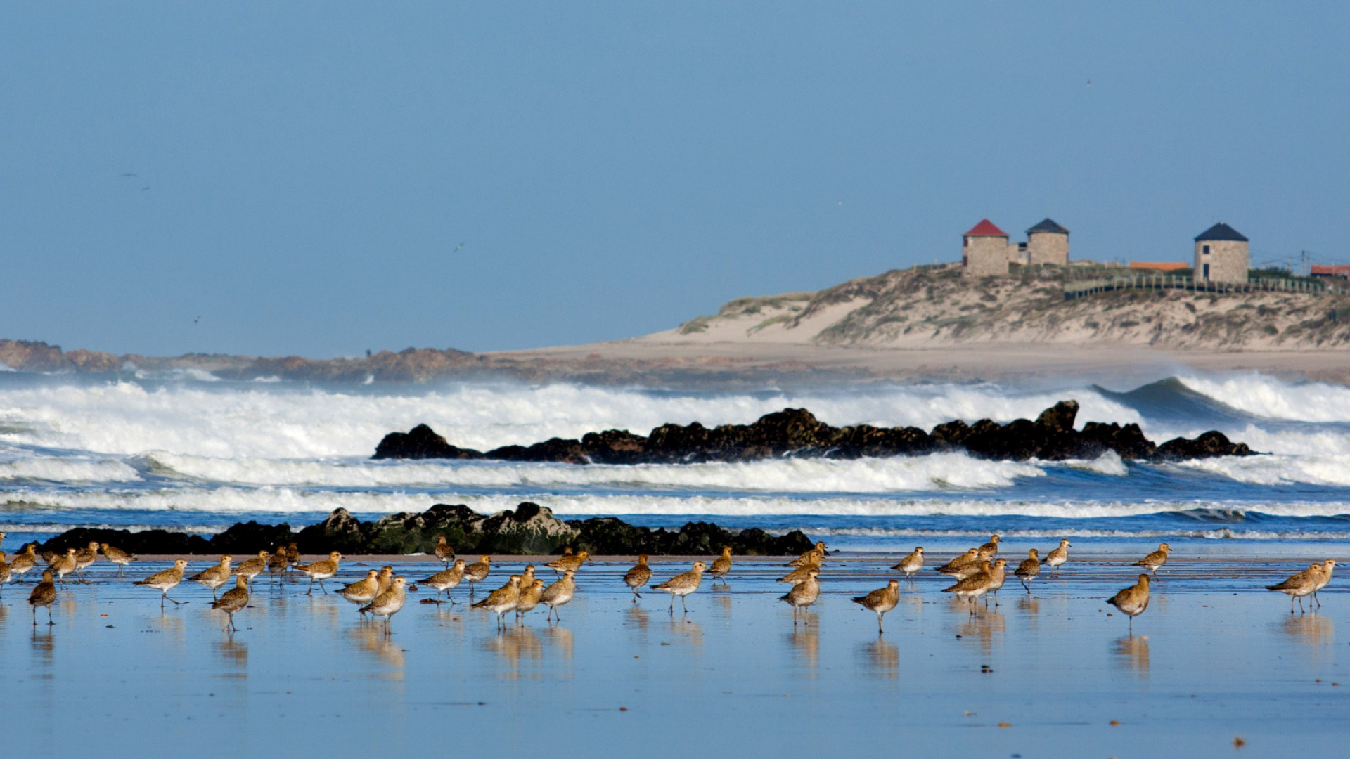 Natureza - Parque Natural do Litoral Norte